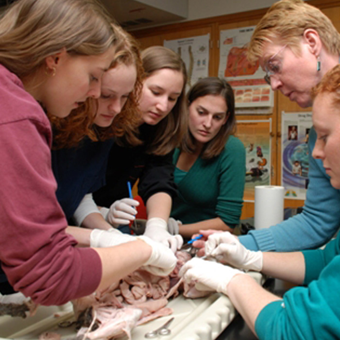 Animal Science Program | Pre-Veterinary School | University of Findlay